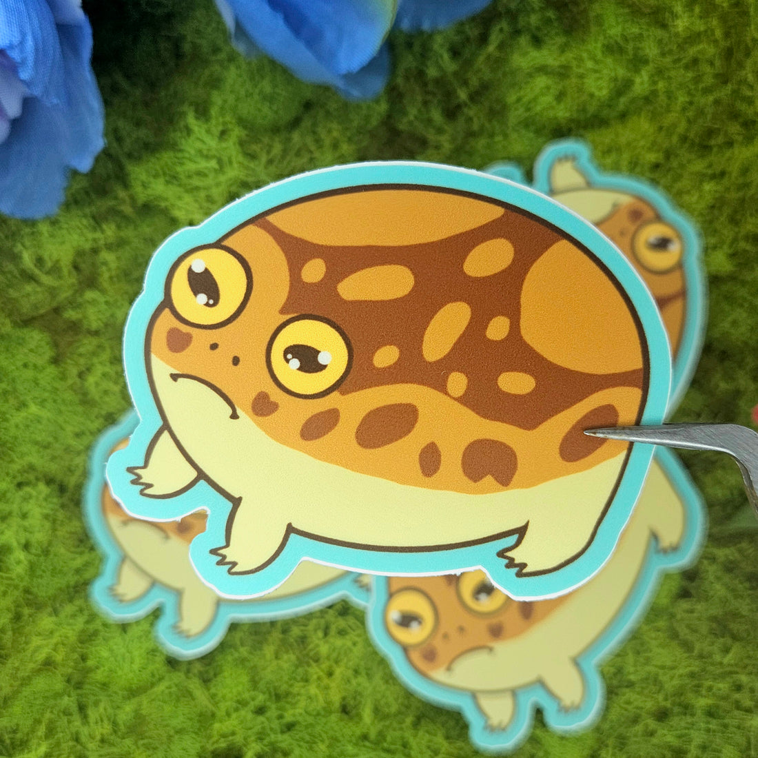 Reggie the Common Rain frog vinyl Sticker – Floating Frogs