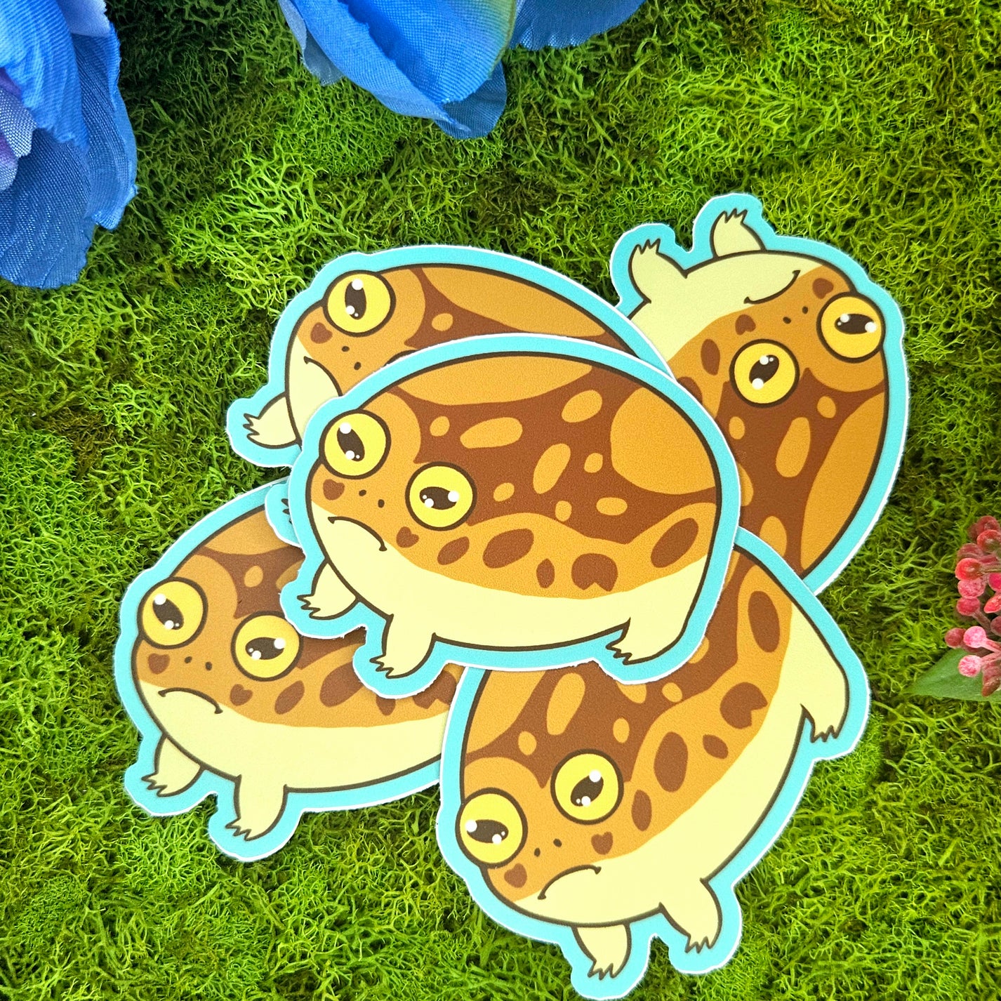 Reggie the Common Rain frog vinyl Sticker – Floating Frogs