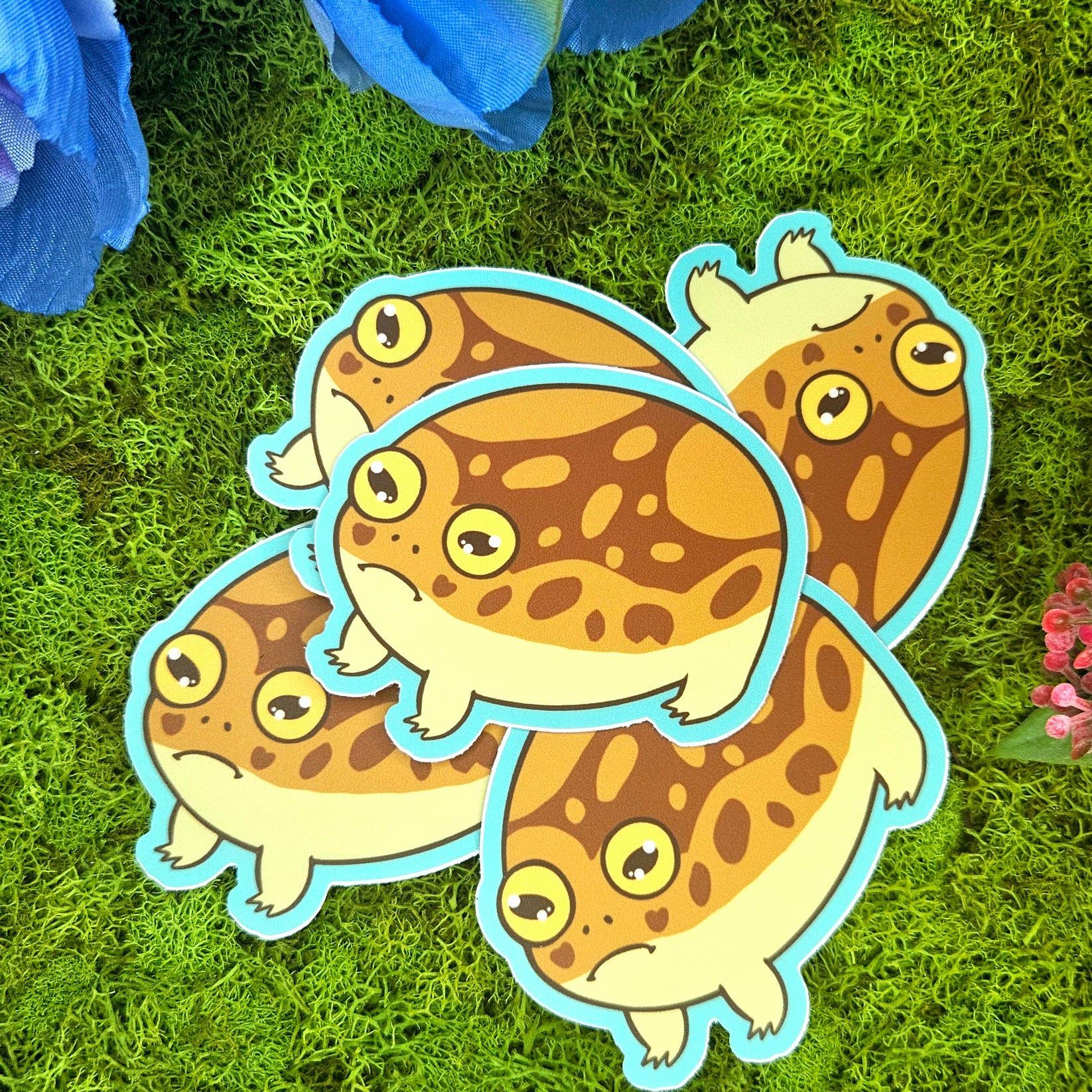 Reggie the Common Rain frog vinyl Sticker – Floating Frogs